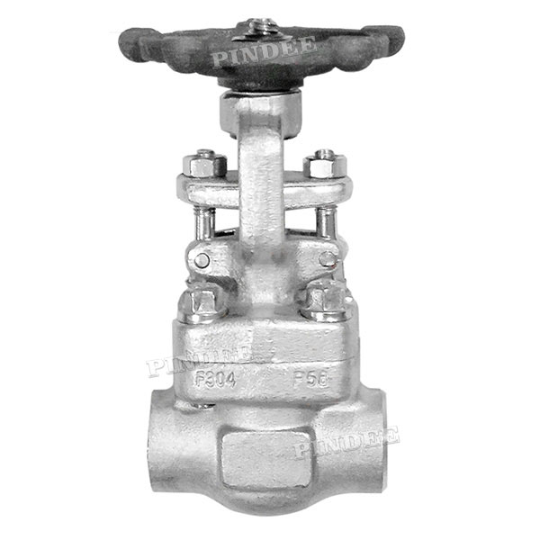 Forged Steel SS304 Gate Valve NPT Class 300 - Buy Forged Steel Globe ...