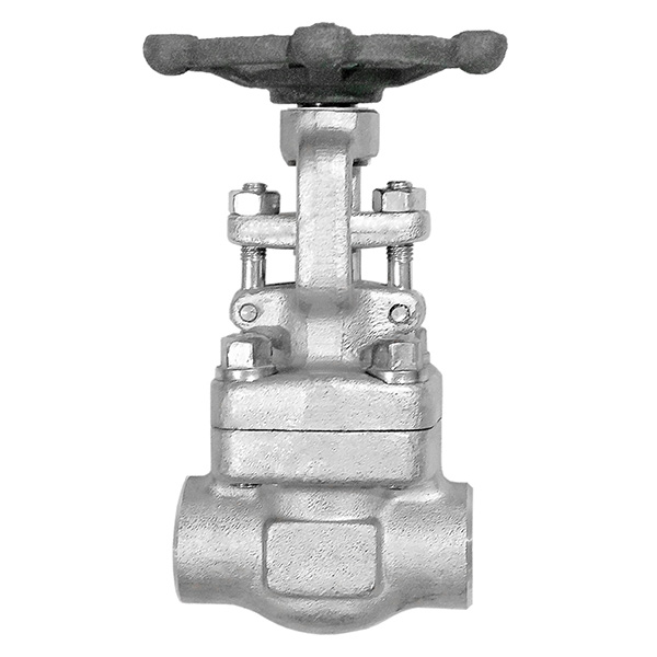 Forged Steel SS304 Gate Valve NPT Class 300 - Buy Forged Steel Globe ...